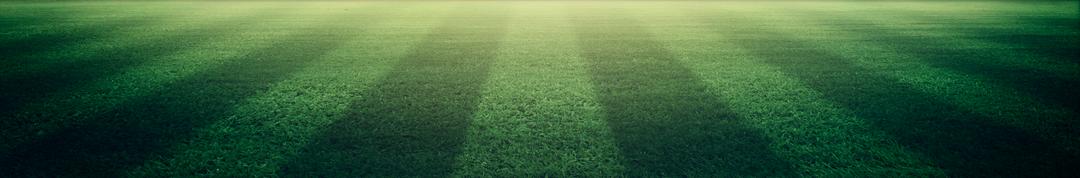 Spotterful | Main Responsibilities and Required Skills for ...